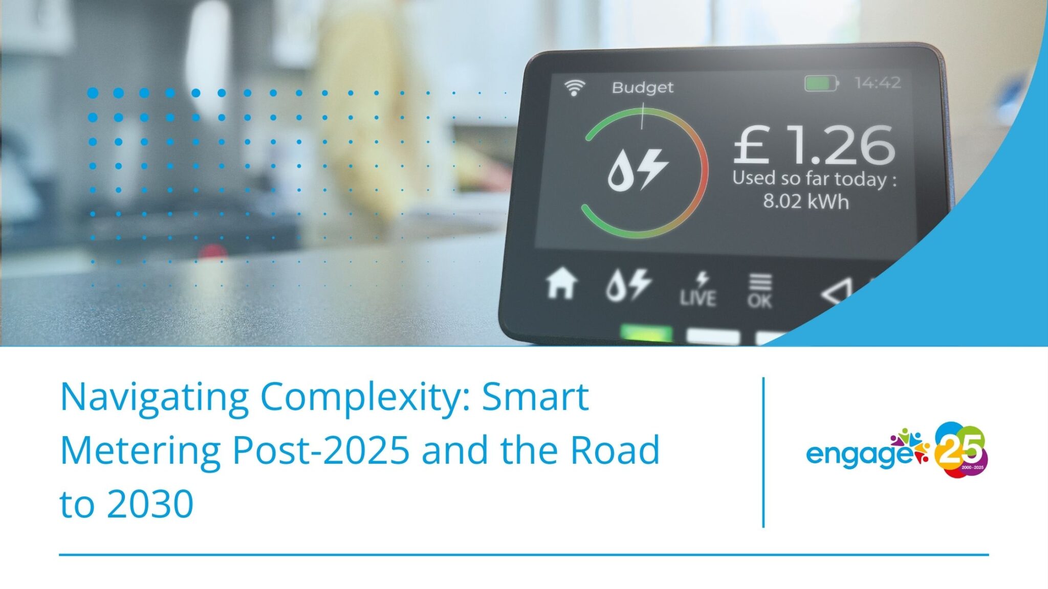Navigating Complexity: Smart Metering Post-2025 and the Road to 2030 ...